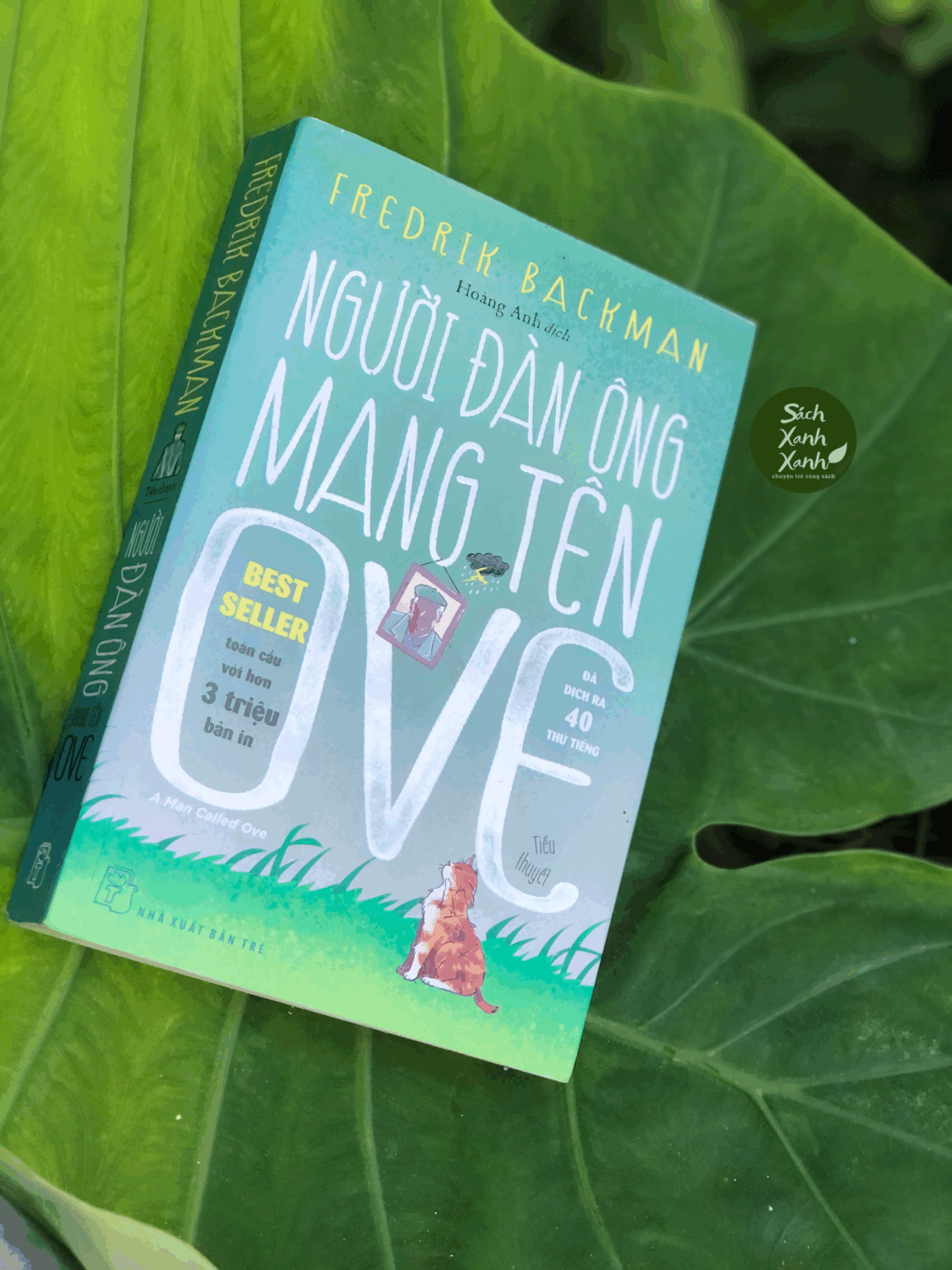 Review | Người đàn ông mang tên Ove - Fredrik Backman - Sách Xanh Xanh